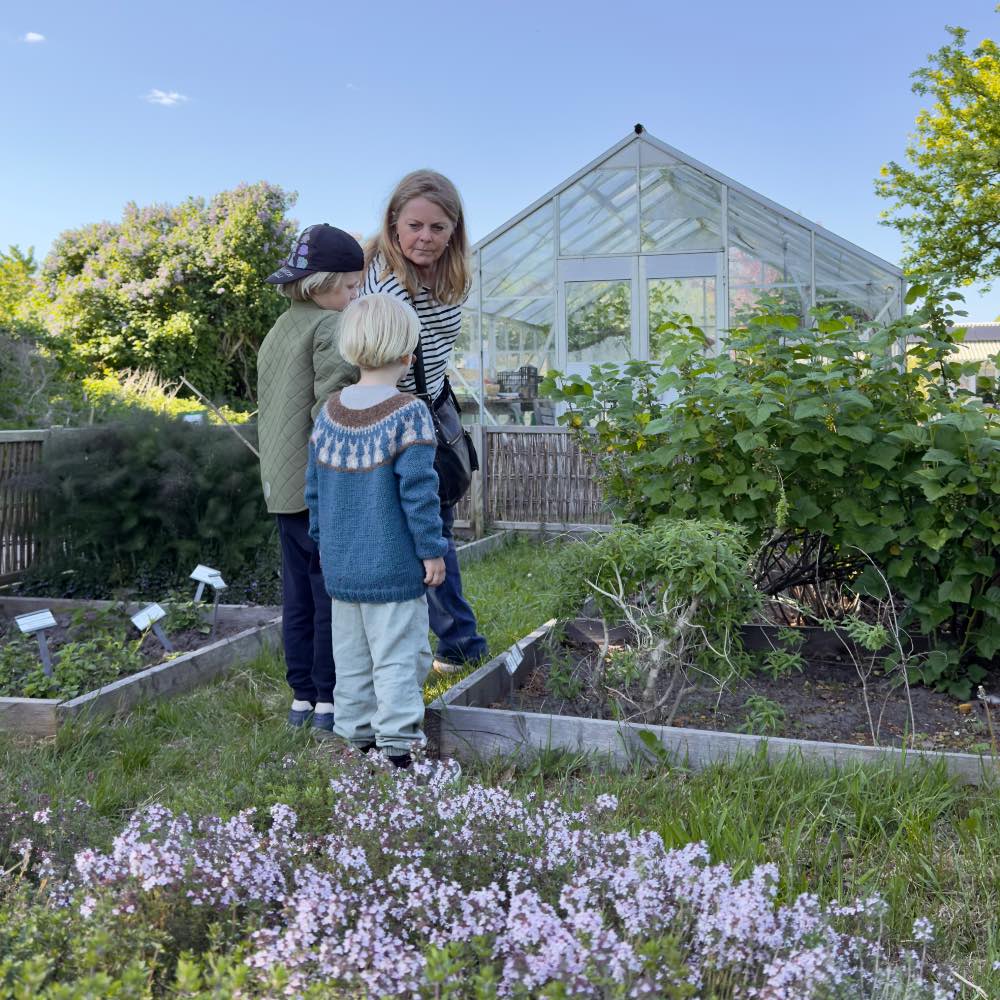 ENDELAVE - en familieguide fuld af vilde kaniner, naturspots mm.