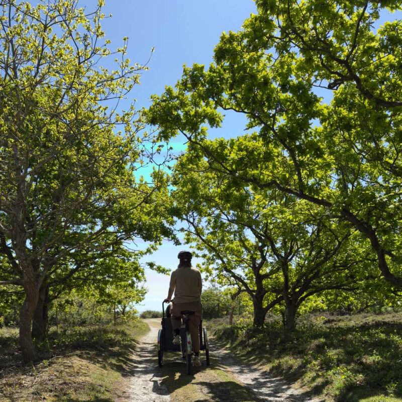 ENDELAVE - en familieguide fuld af vilde kaniner, naturspots mm.