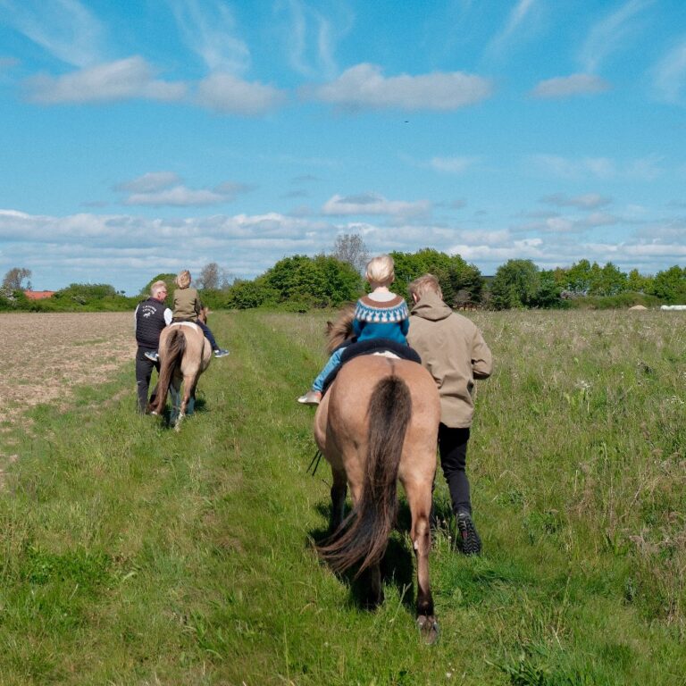 ENDELAVE - en familieguide fuld af vilde kaniner, naturspots mm.